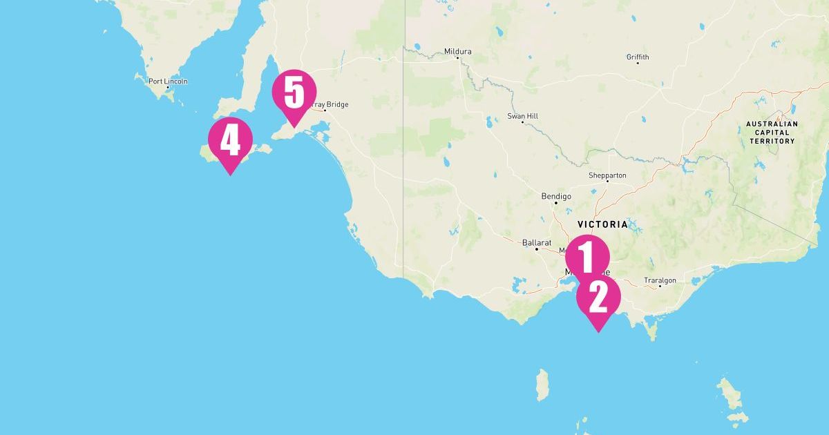 Diamond Princess - September 28th, 2024 - Cruise Map & Port Info